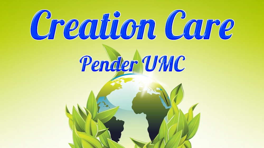 Faith in Action: Simple Steps to Save Electricity and Care for God’s ...